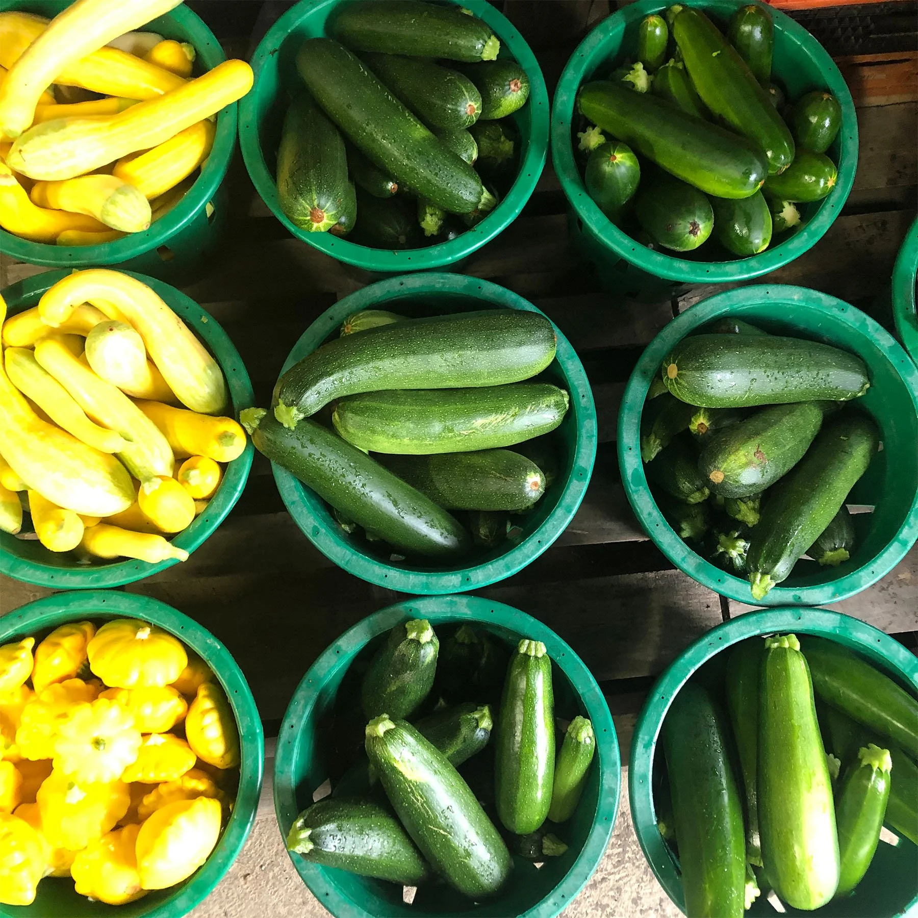 Support Common Ground — Common Ground Farm