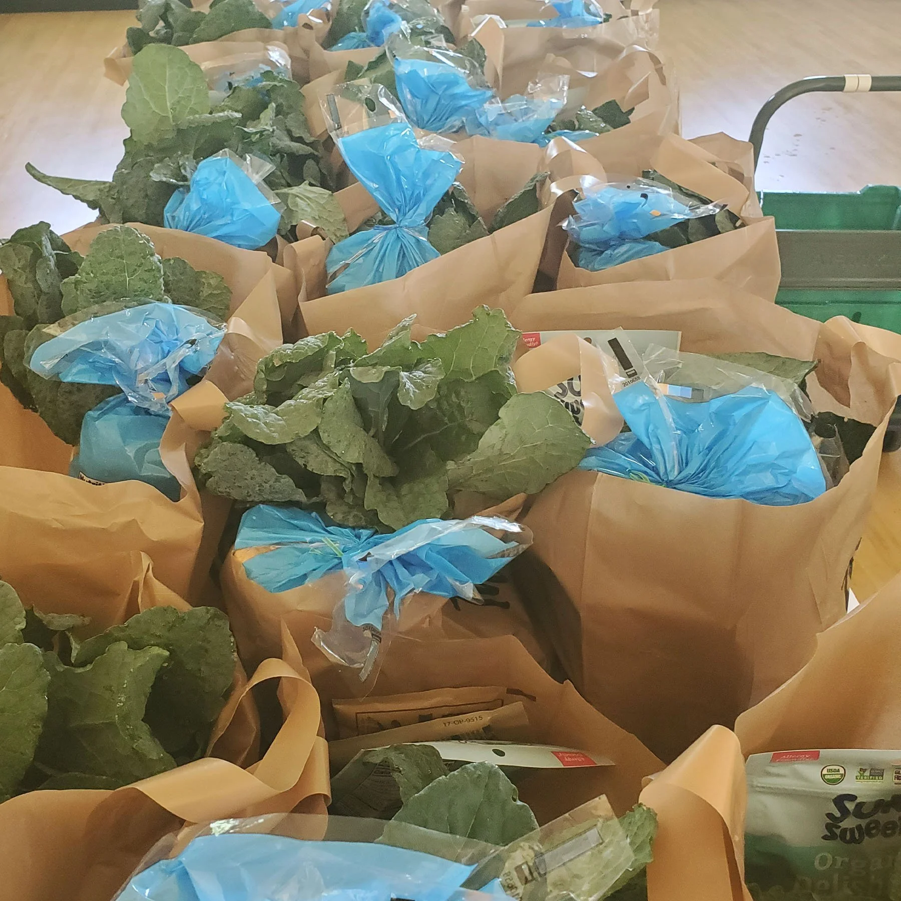 BackPack Program — Common Ground Farm