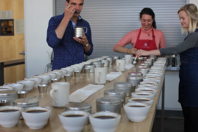 How to Build Your Own Lexicon — Blue Bottle Coffee Lab
