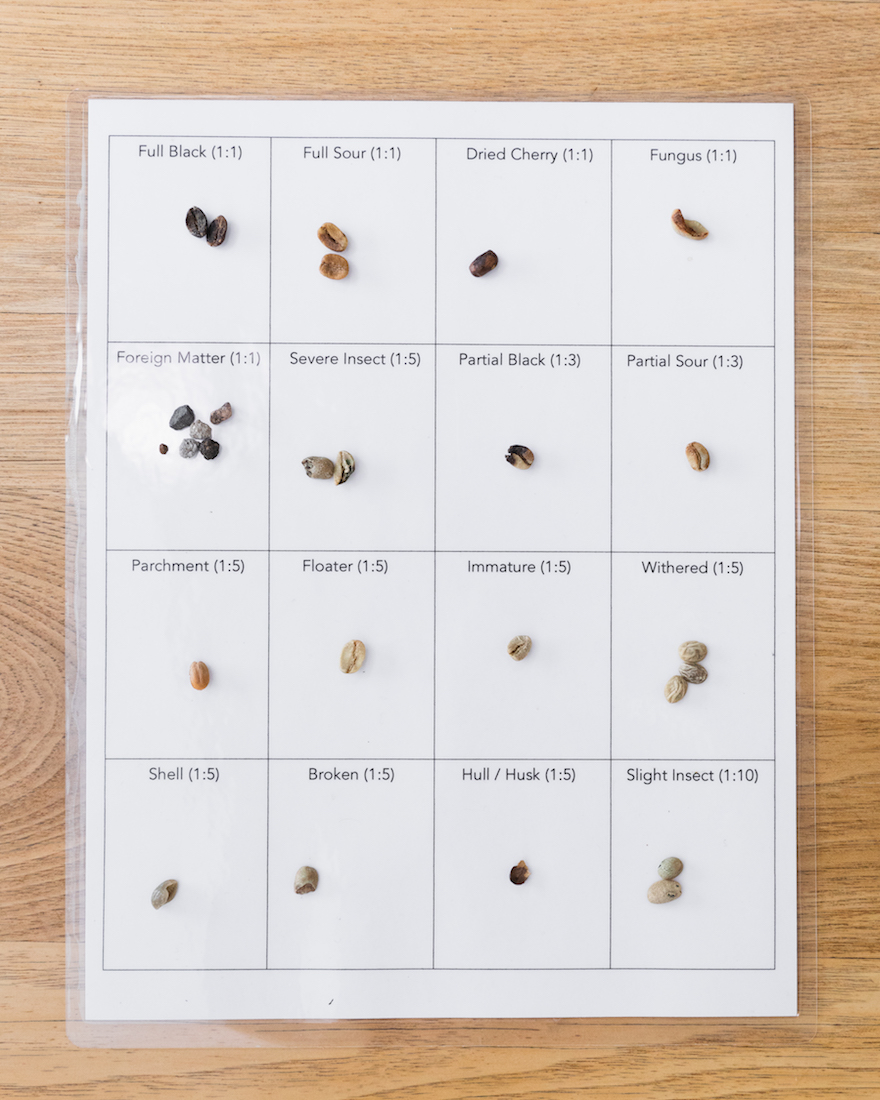 What Is Specialty Coffee? — Blue Bottle Coffee Lab