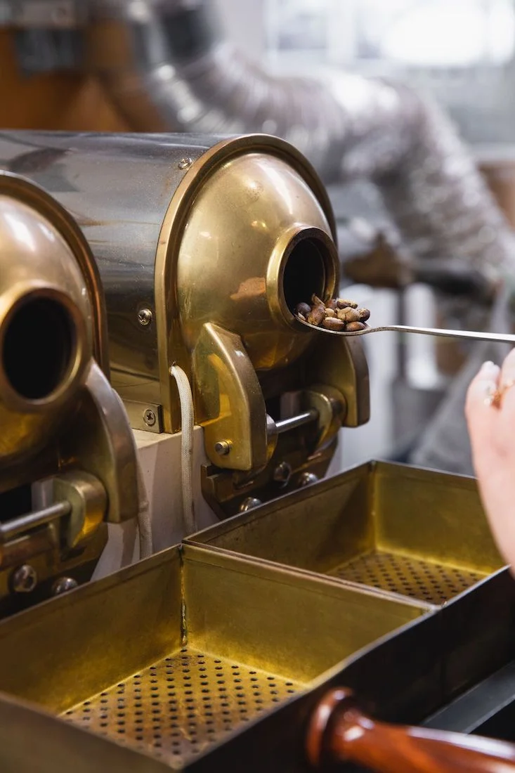 What Is Specialty Coffee? — Blue Bottle Coffee Lab