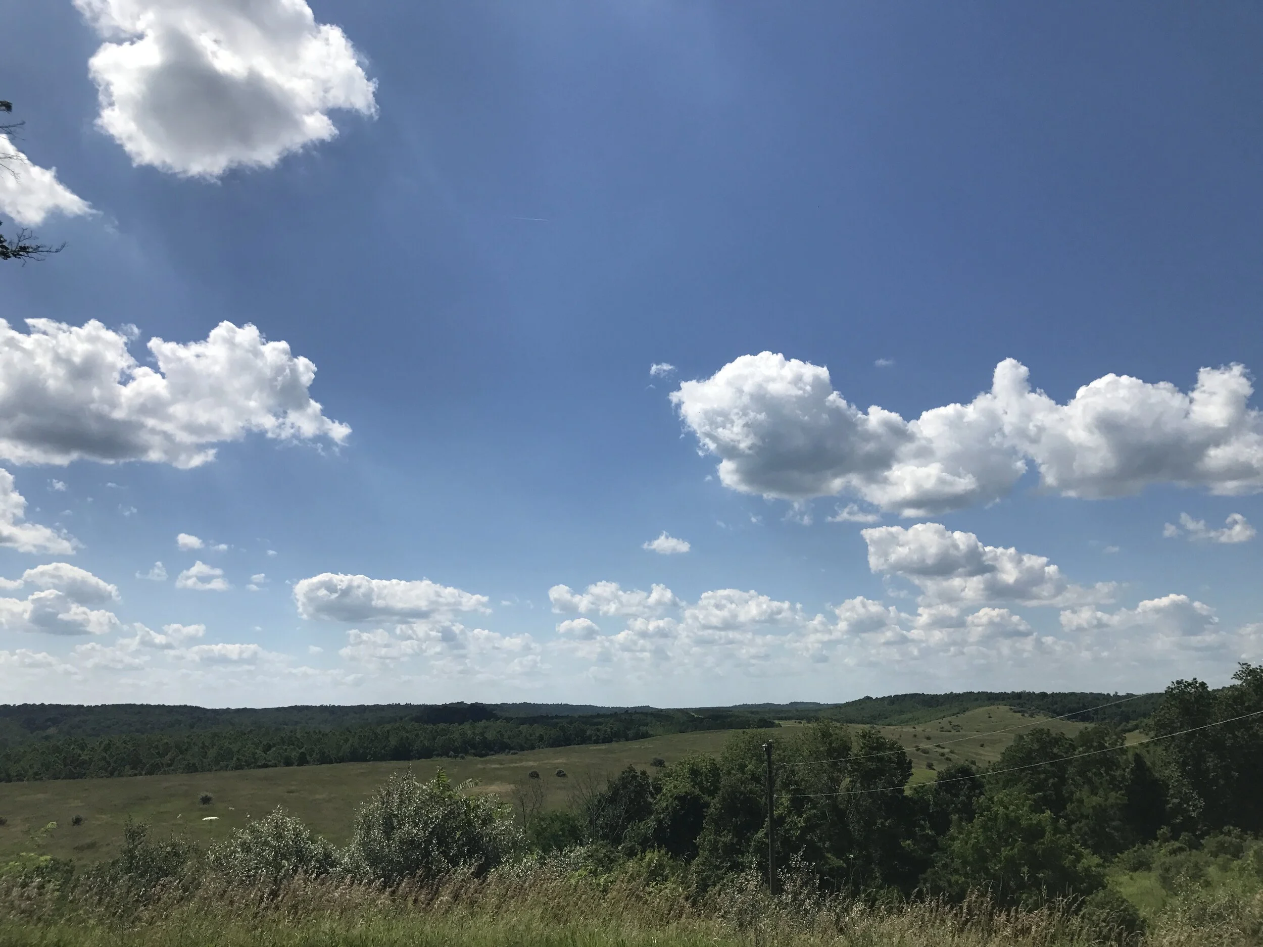 Ultrarunning through a reclaimed strip mine - AEP Recreation Land, Ohio ...