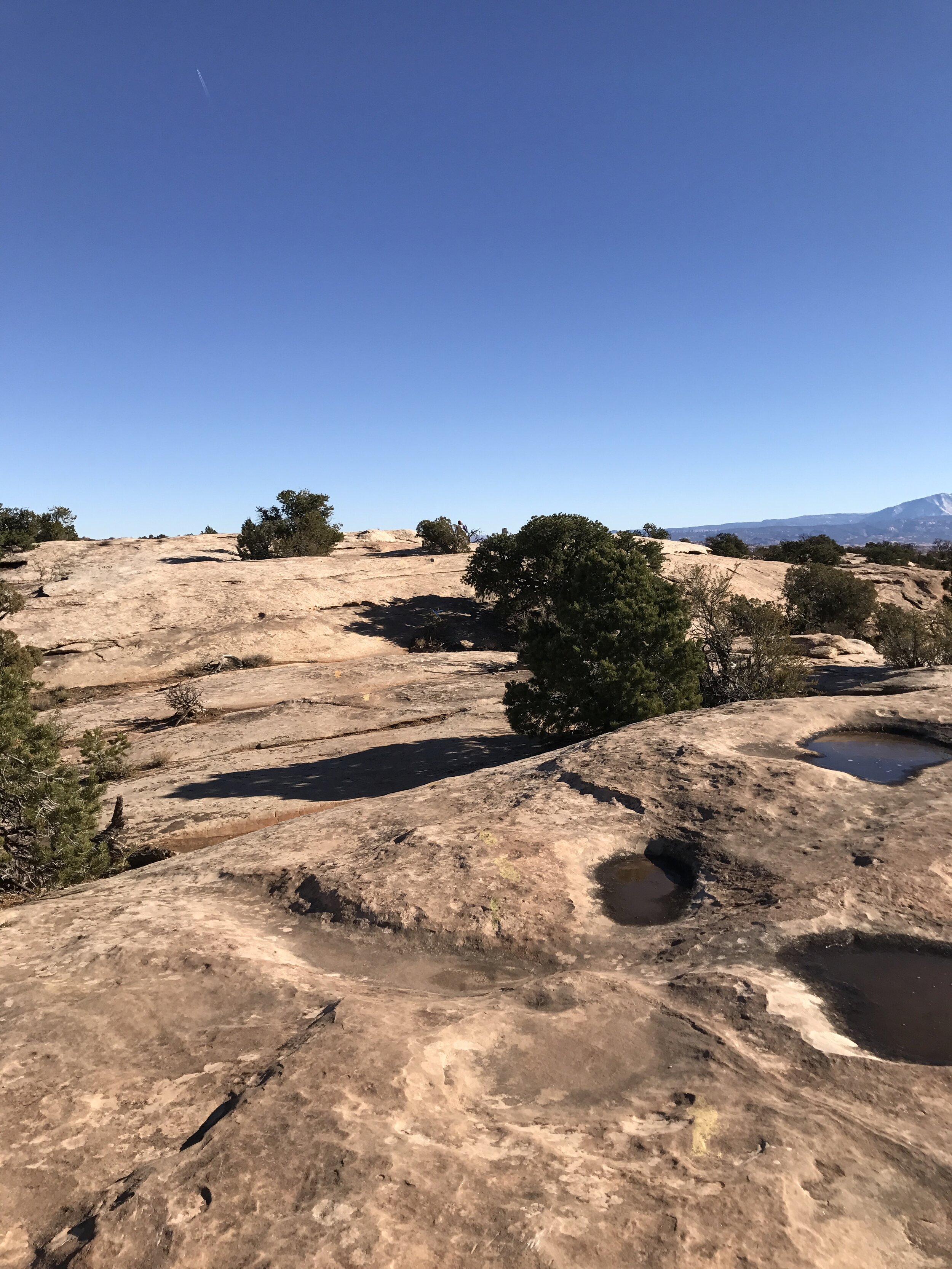 Running the Dead Horse Ultramarathon - Moab, Utah — UltraRunning ...