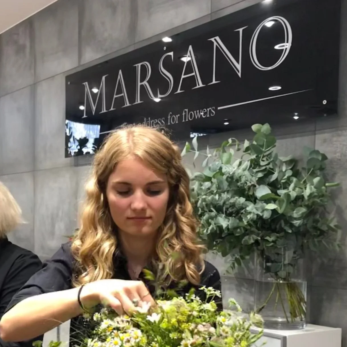 Einblicke — Marsano | Zürich | Bern