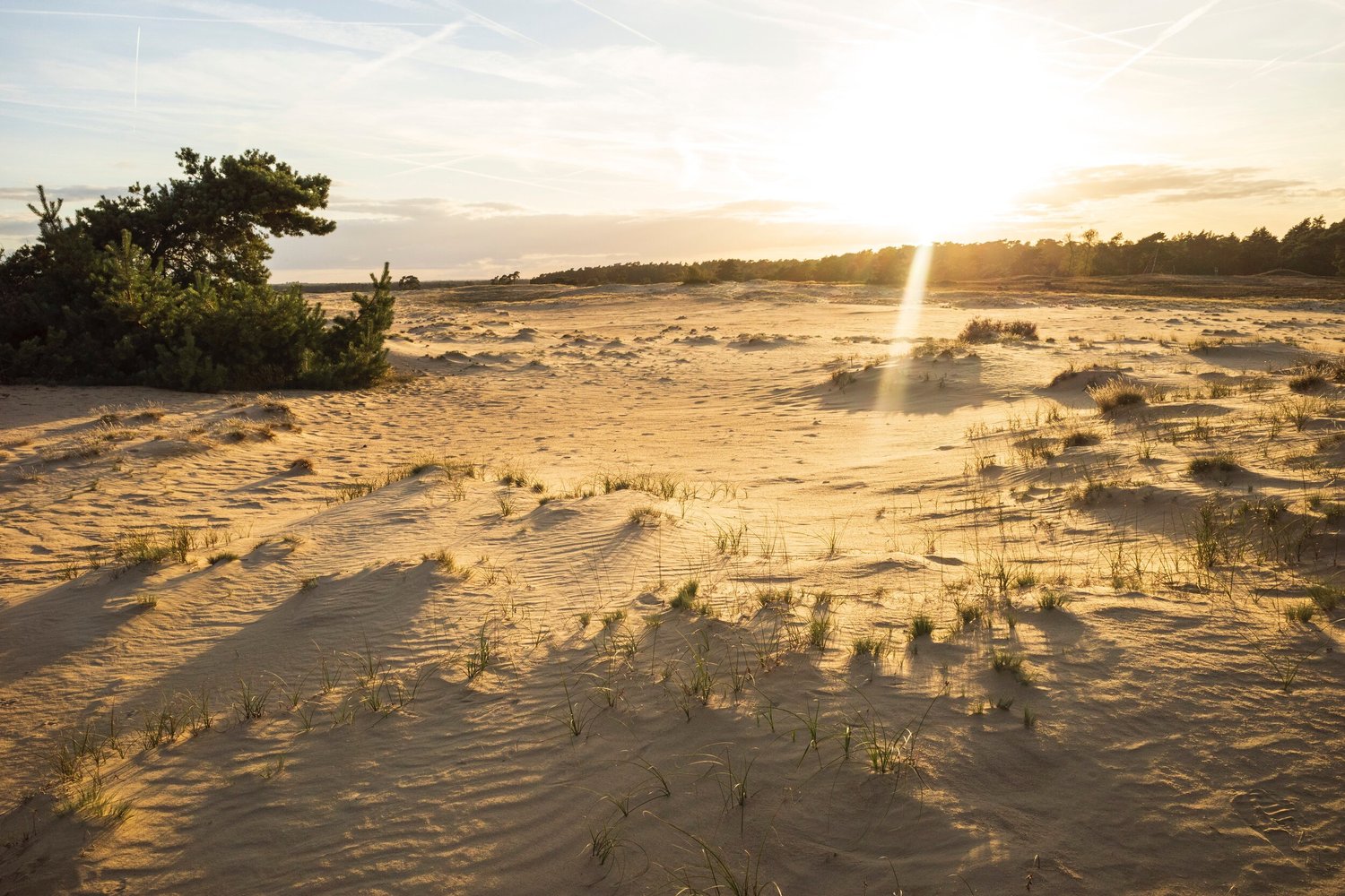 12 X Beautiful Nature Parks In The Netherlands