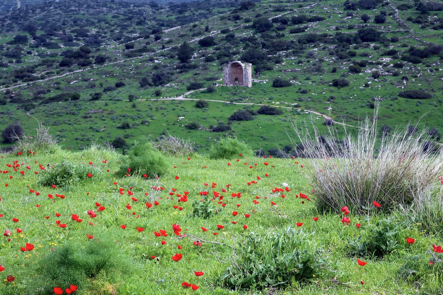 The 13 X Best National Parks In Israel