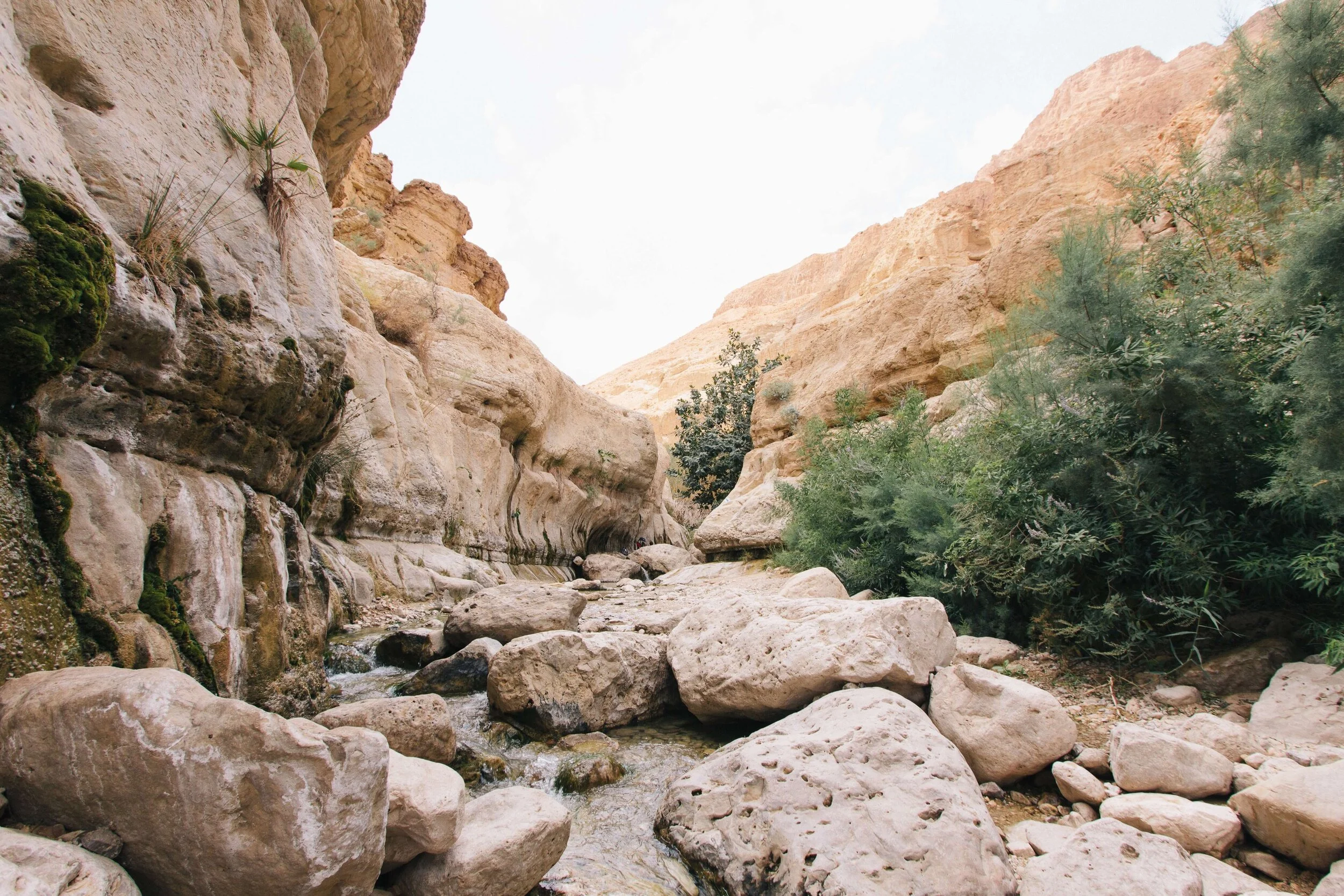 Best Hikes In Israel PLUS Hiking Gear Guide!