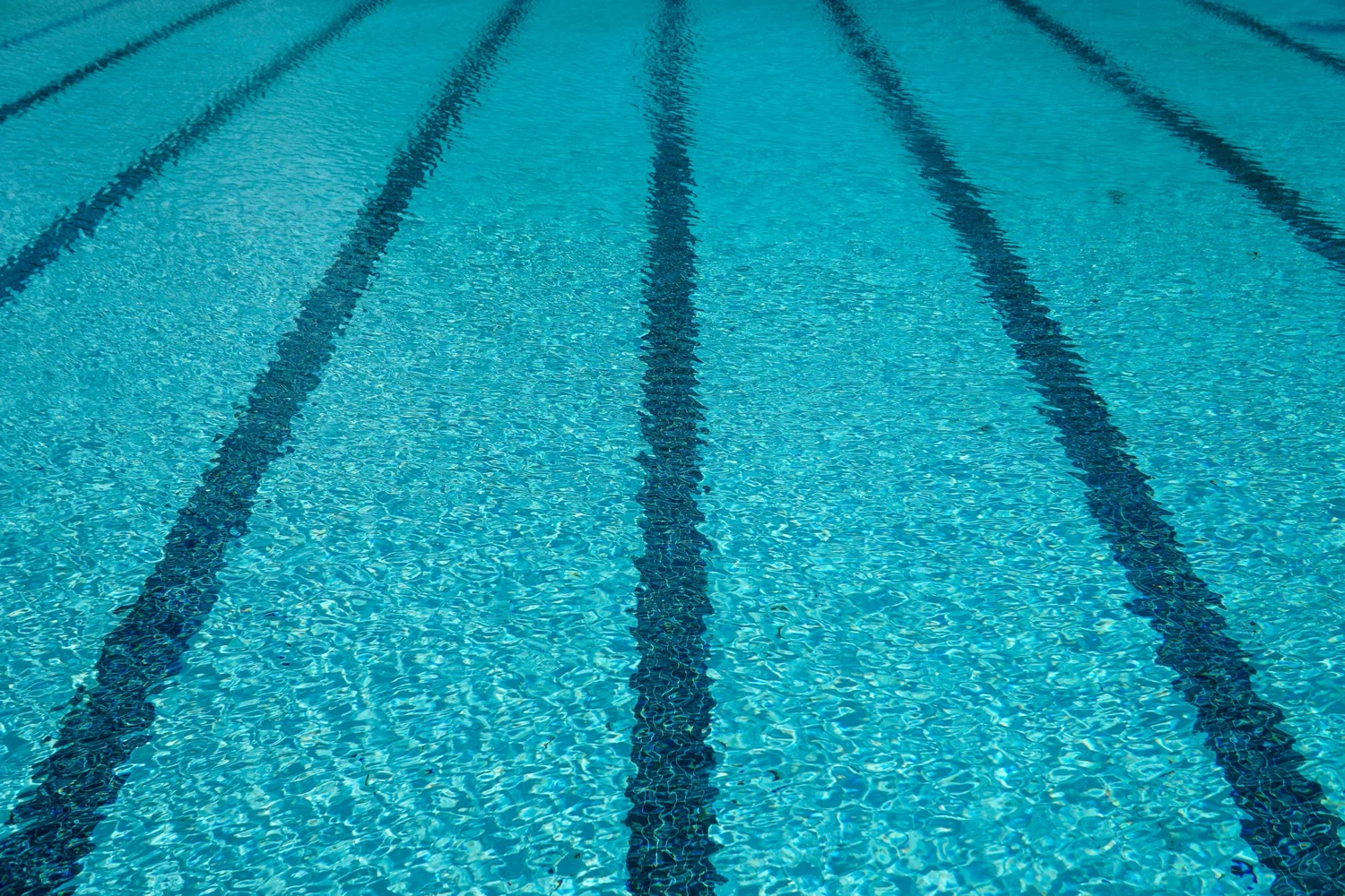 Discover Amsterdam's Top Swimming Spots for a Refreshing Dip!