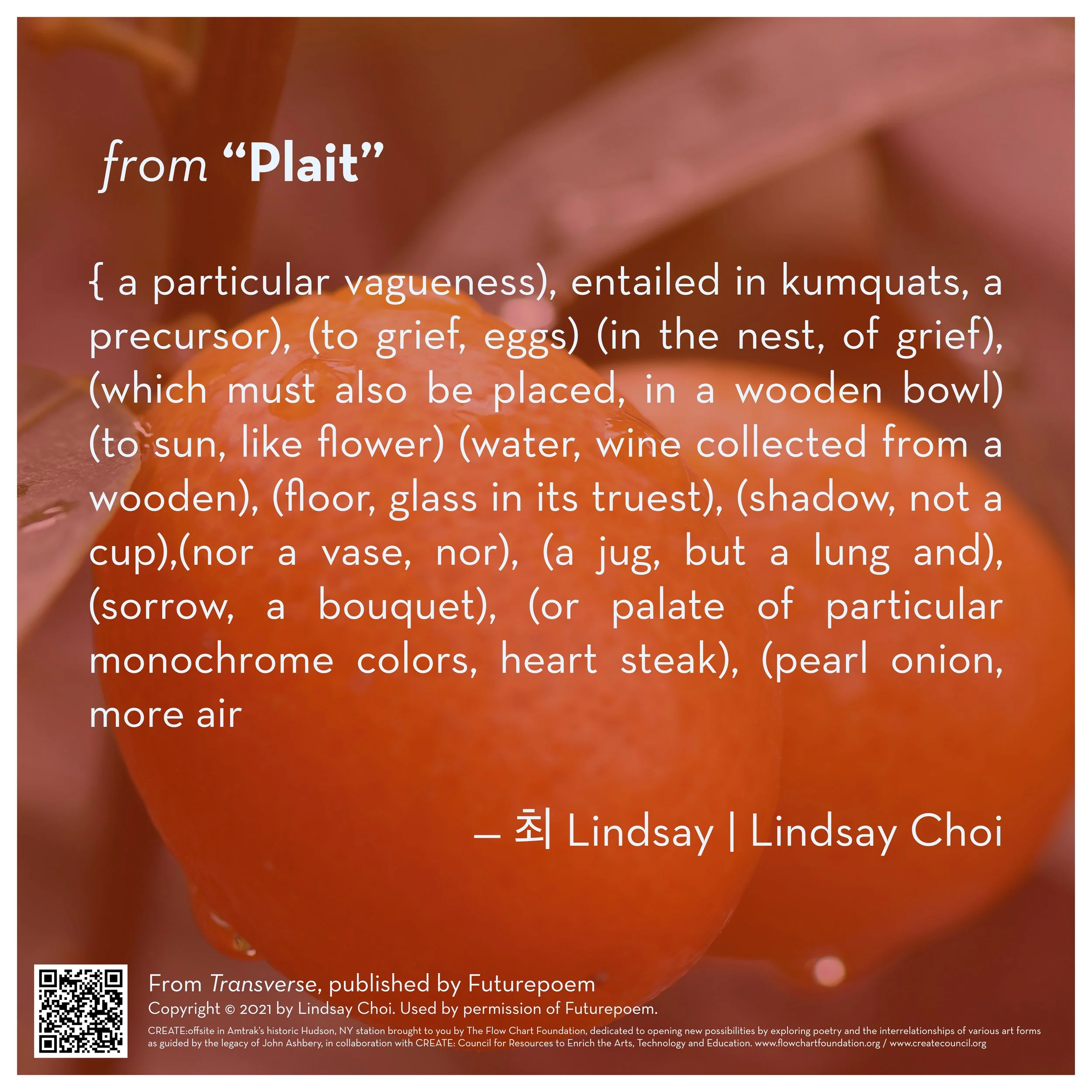 Amtrak Poetry — THE FLOW CHART FOUNDATION