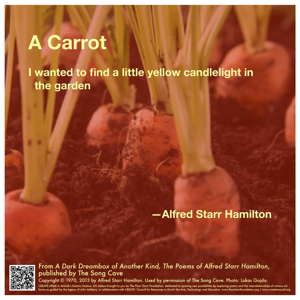 Amtrak Poetry — THE FLOW CHART FOUNDATION