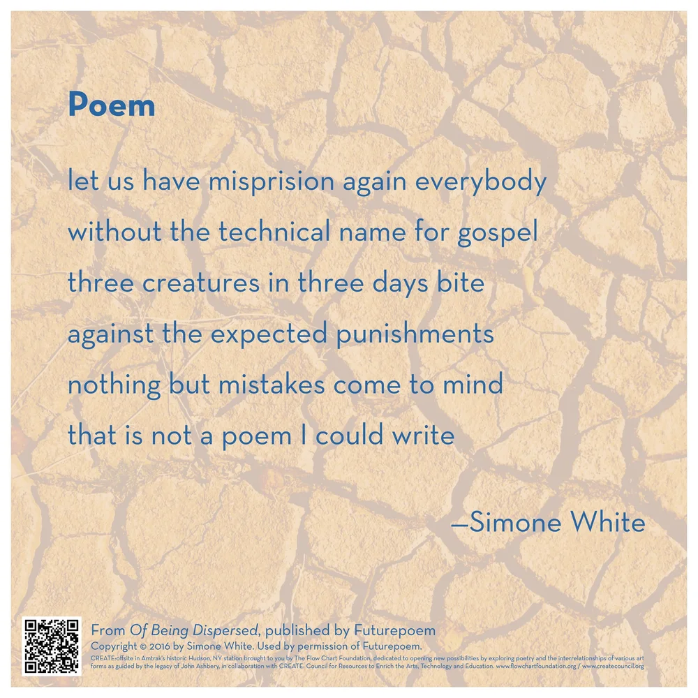 Amtrak Poetry — THE FLOW CHART FOUNDATION