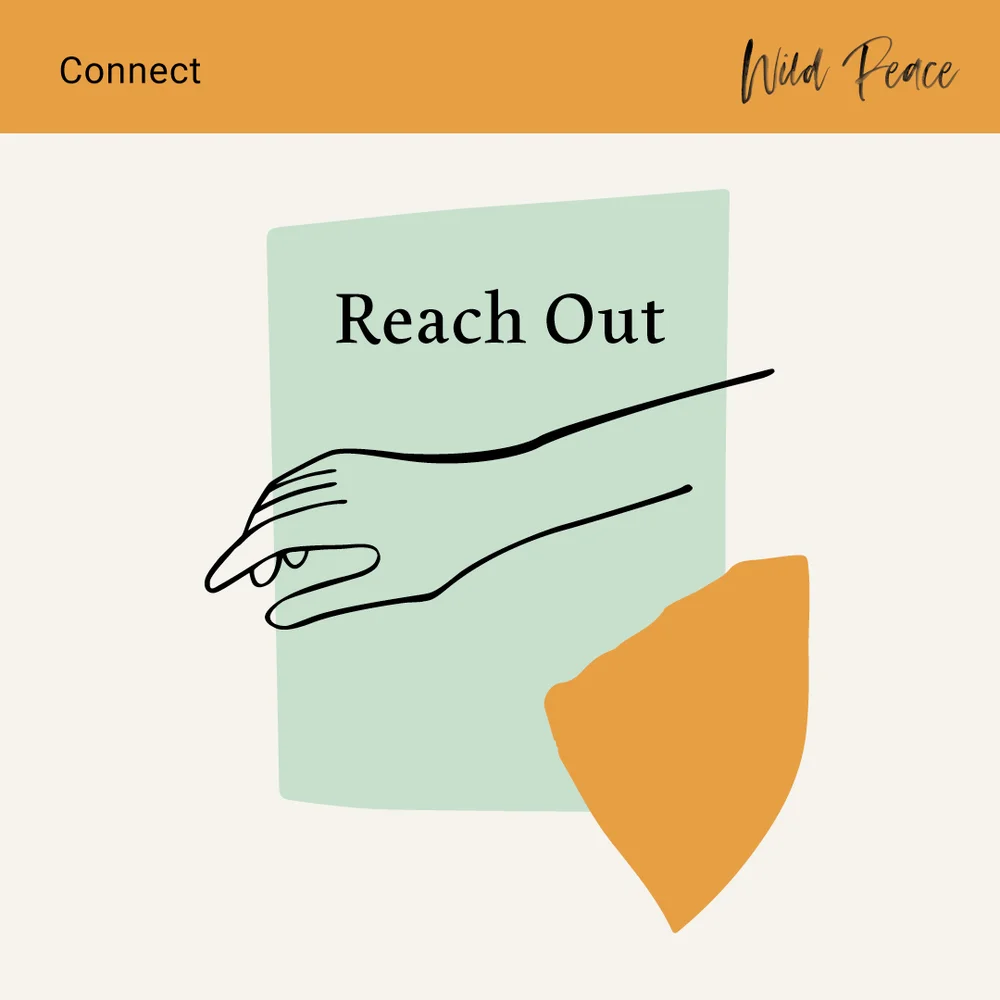 Reach Out | Connect — Wild Peace