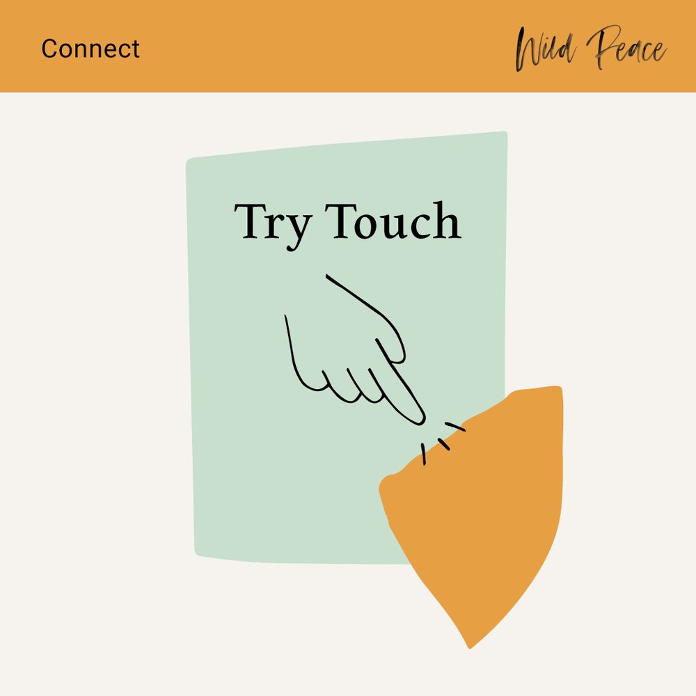 Try Touch | Connect — Wild Peace