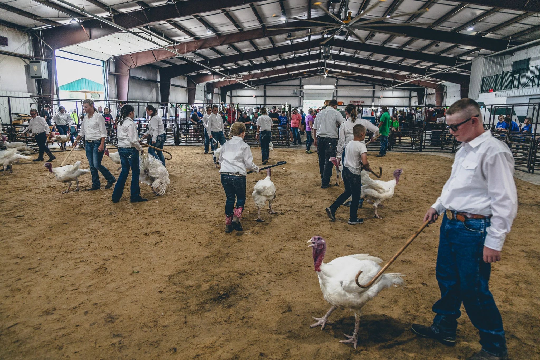 2019 - Monday — The Perry County Fairgrounds
