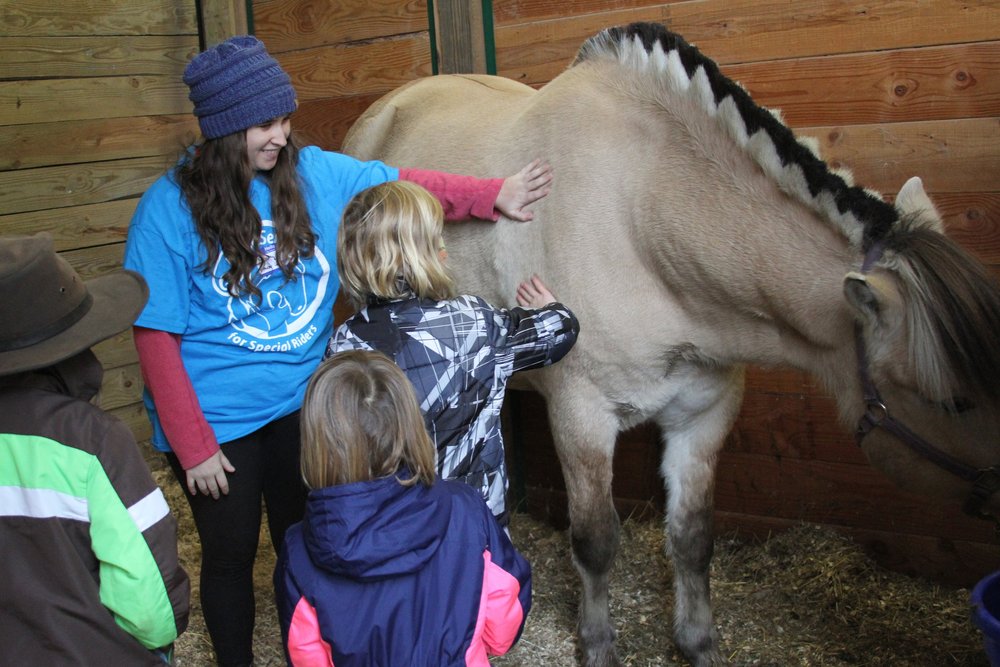 Fall Harvest Festival — HorseSense
