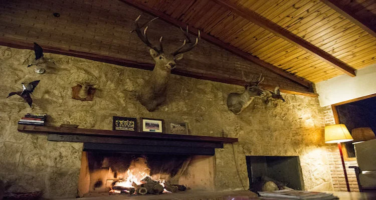 La Volanta, Argentina Dove Hunting Lodge — MGW Outfitters
