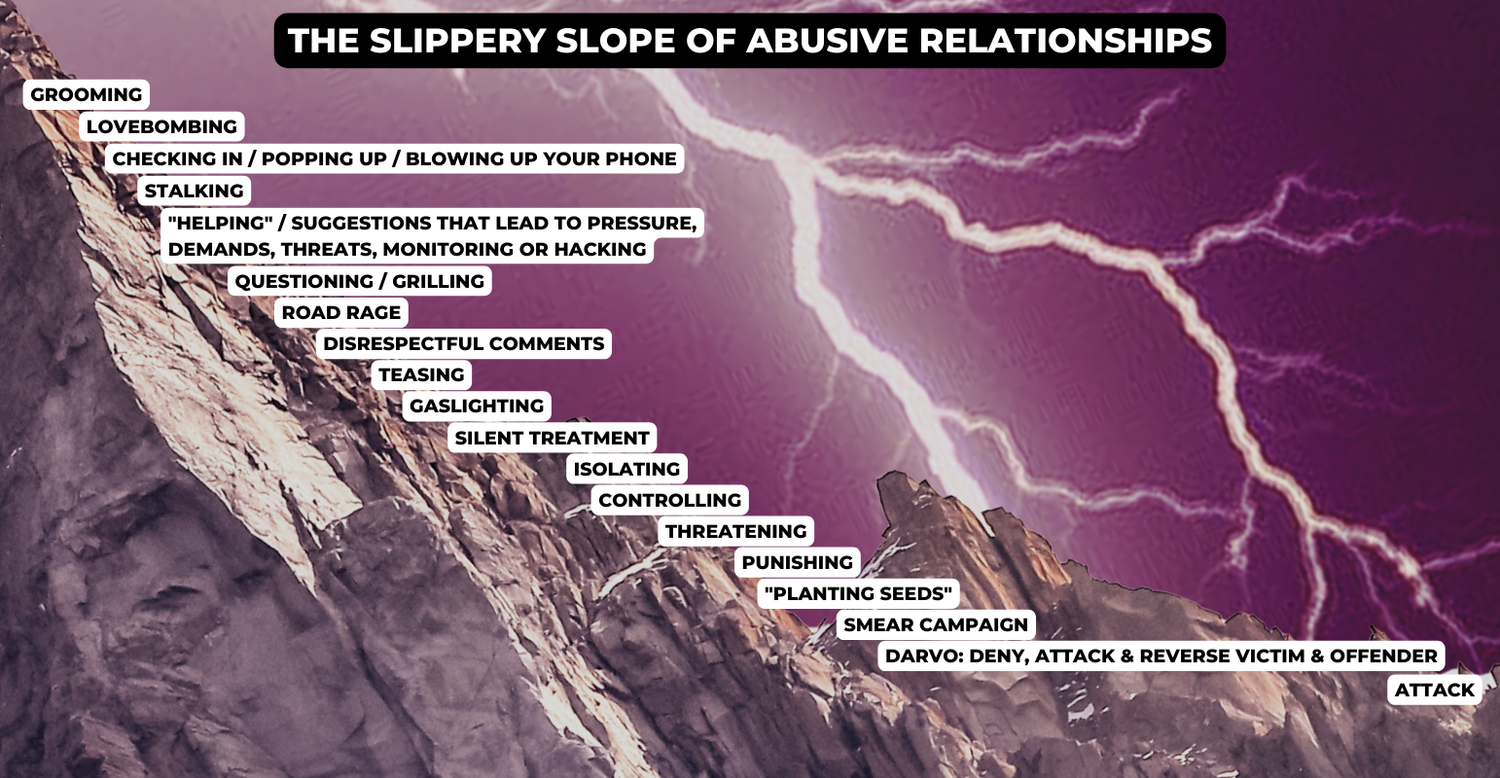 Domestic Violence Advocate Training for Covert Abuse and Coercive ...