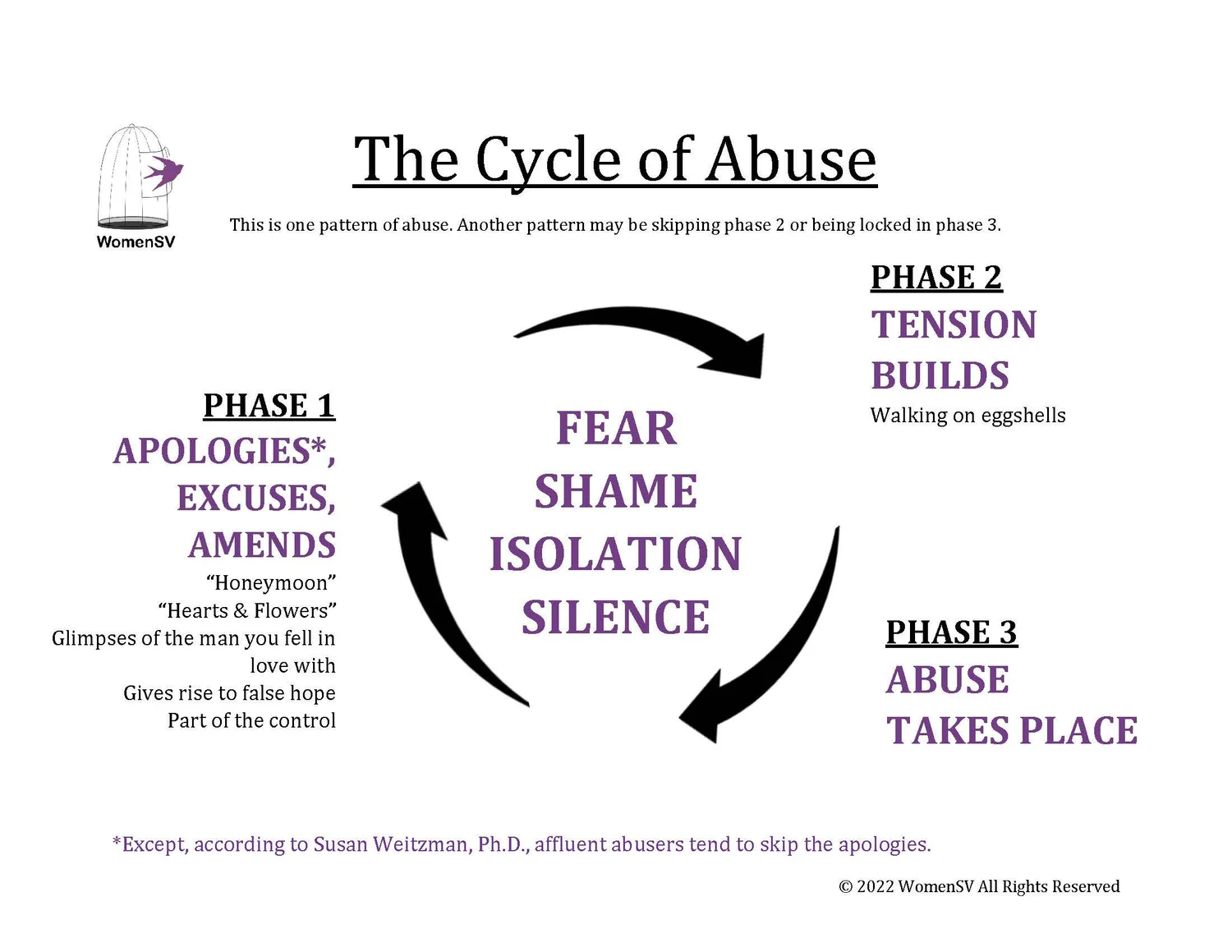 Domestic Violence Advocate Training for Covert Abuse and Coercive Control — WomenSV