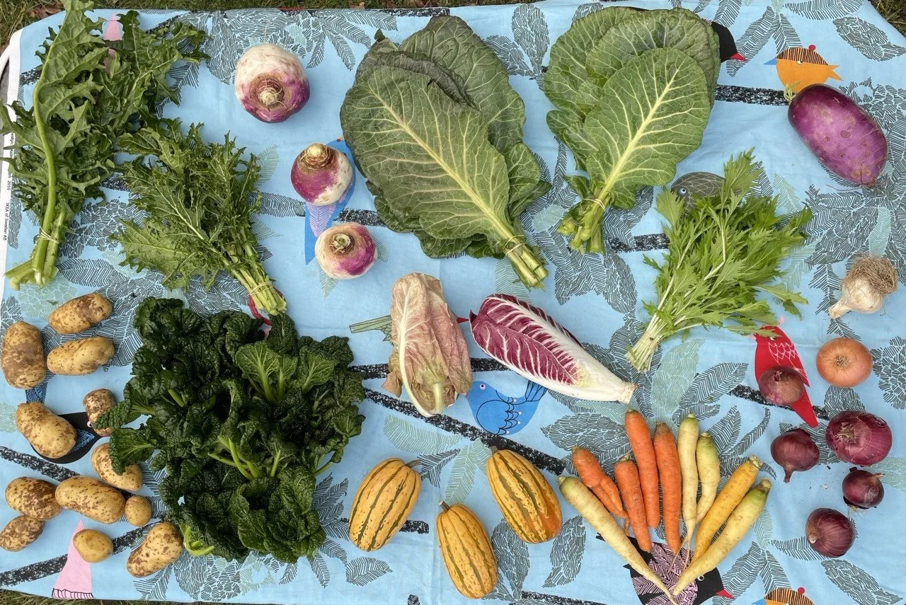 Winter Csa Box
