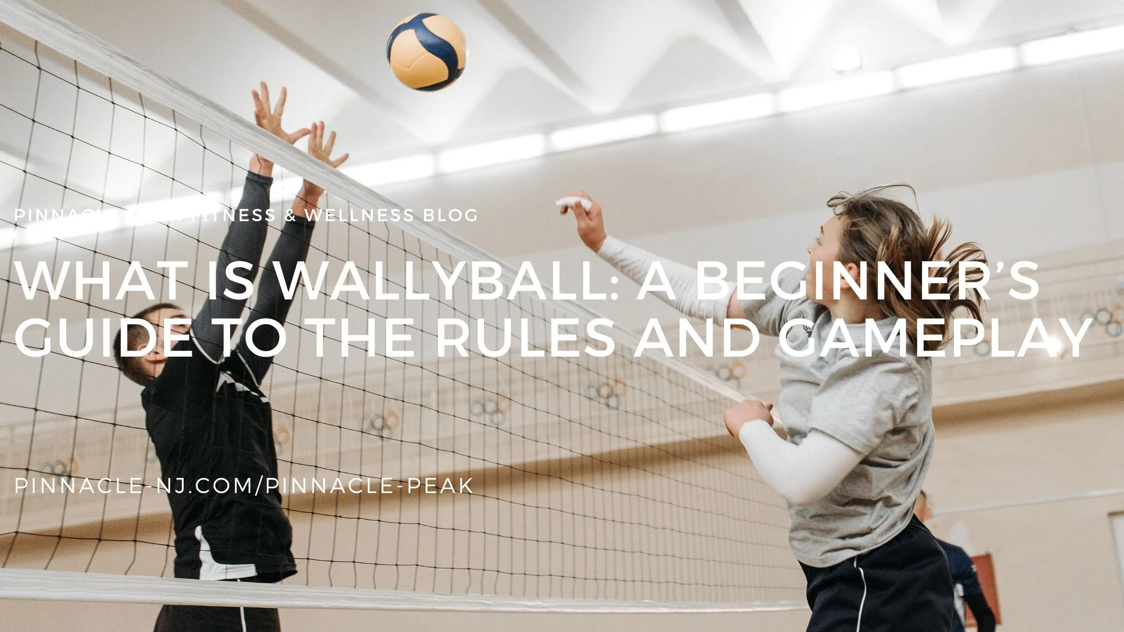 Wallyball — Pinnacle Health and Fitness