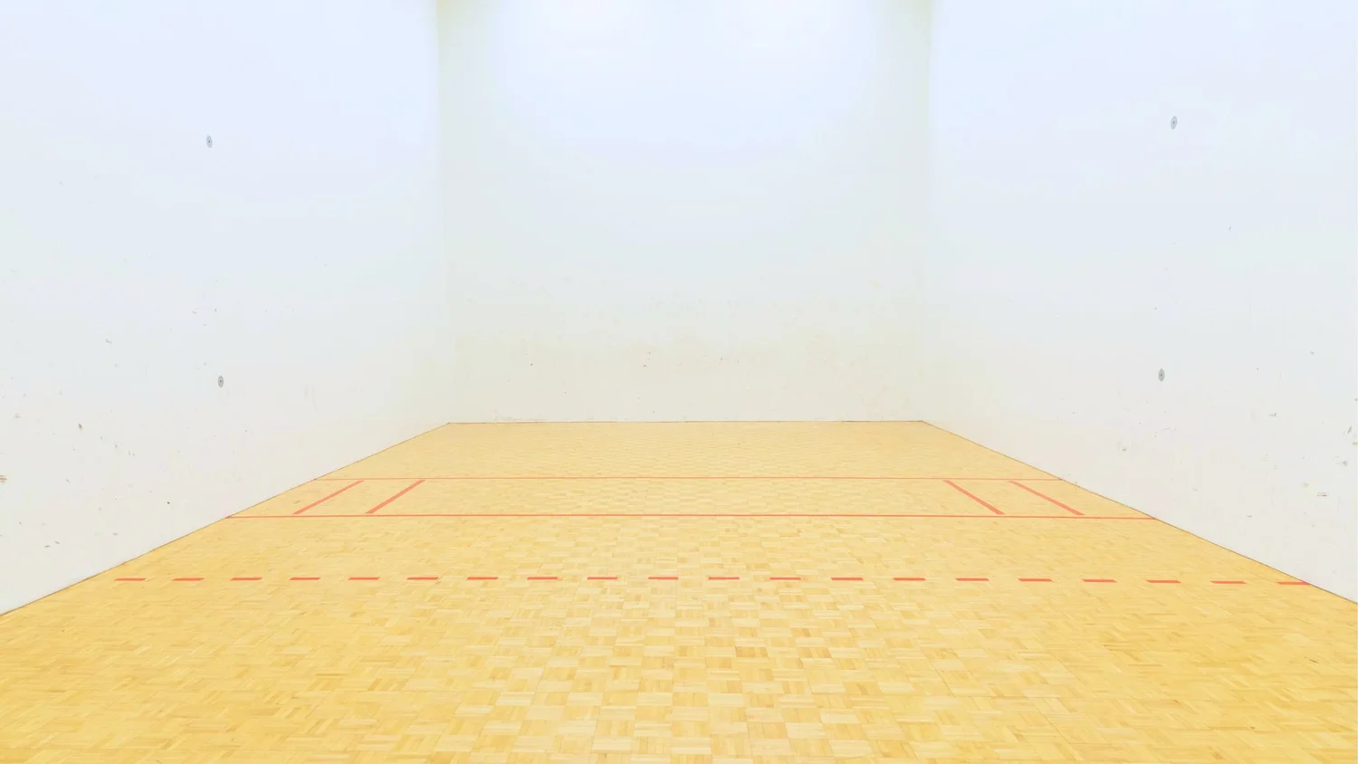 Wallyball — Pinnacle Health and Fitness