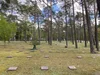 The Tragedy of Halbe: A Forgotten Battle of WWII's Final Days and the ...