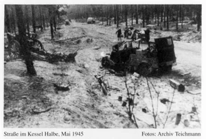 Nazi Germany Collapse: The Battle of Halbe and the True Horror of War's ...