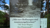 Nazi Germany Collapse: The Battle of Halbe and the True Horror of War's ...