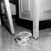 Hitler's Bunker Berlin Location: The Ultimate Guide for History Buffs ...