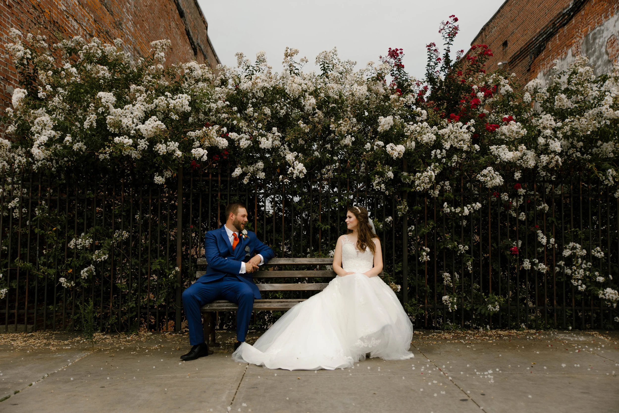 Weddings + Couples — Madeline Rose