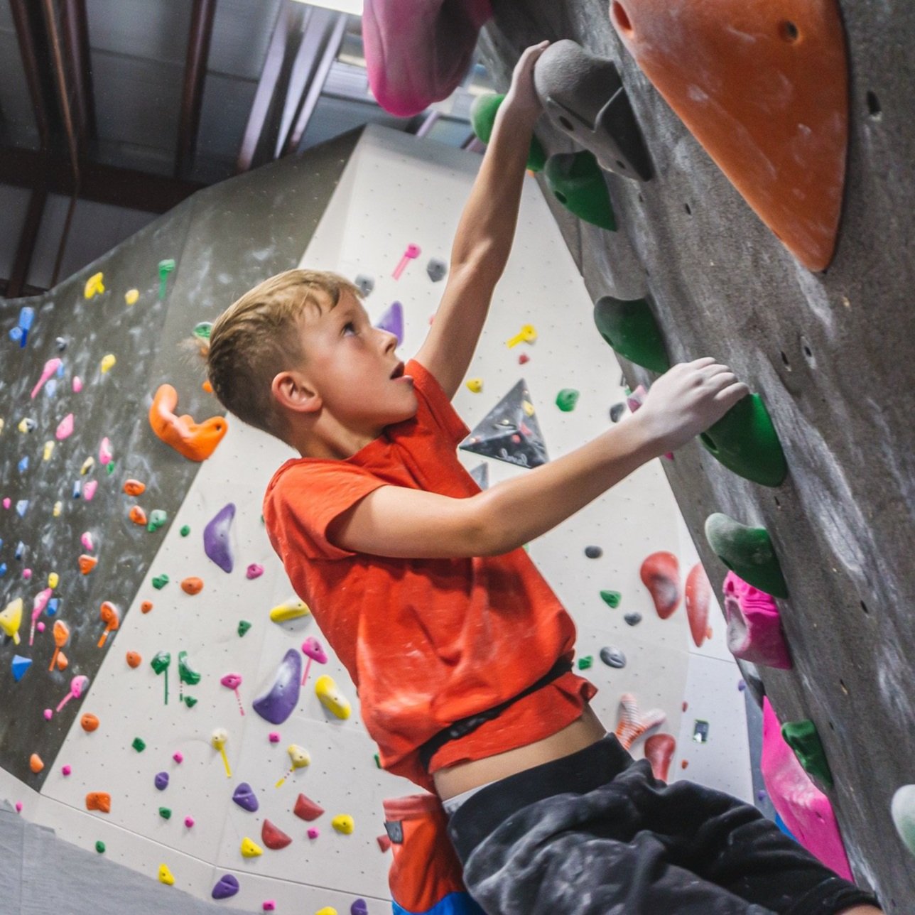 Rock Wall Gym Kids
