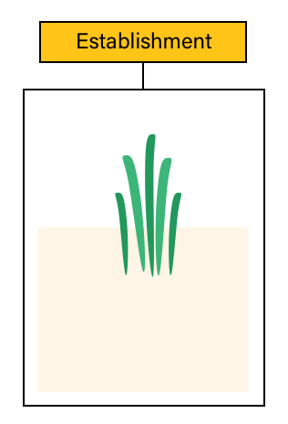 The Four Stages of the Community Life Cycle