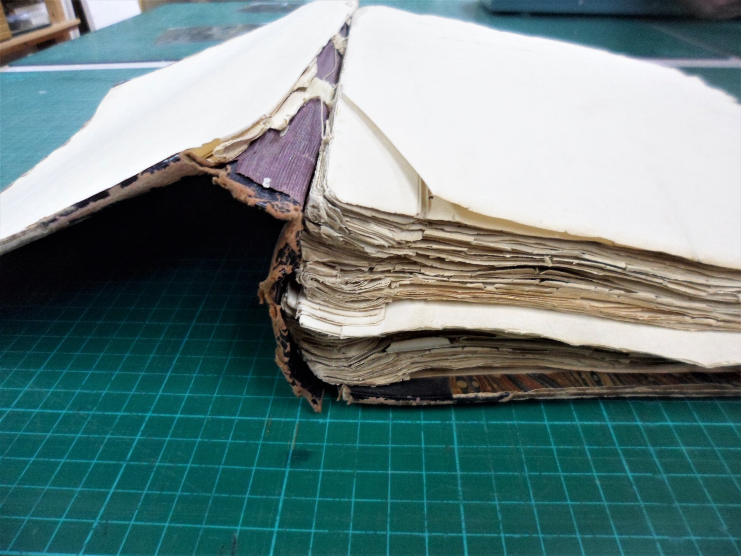 paper conservation — R&L LANCEFIELD