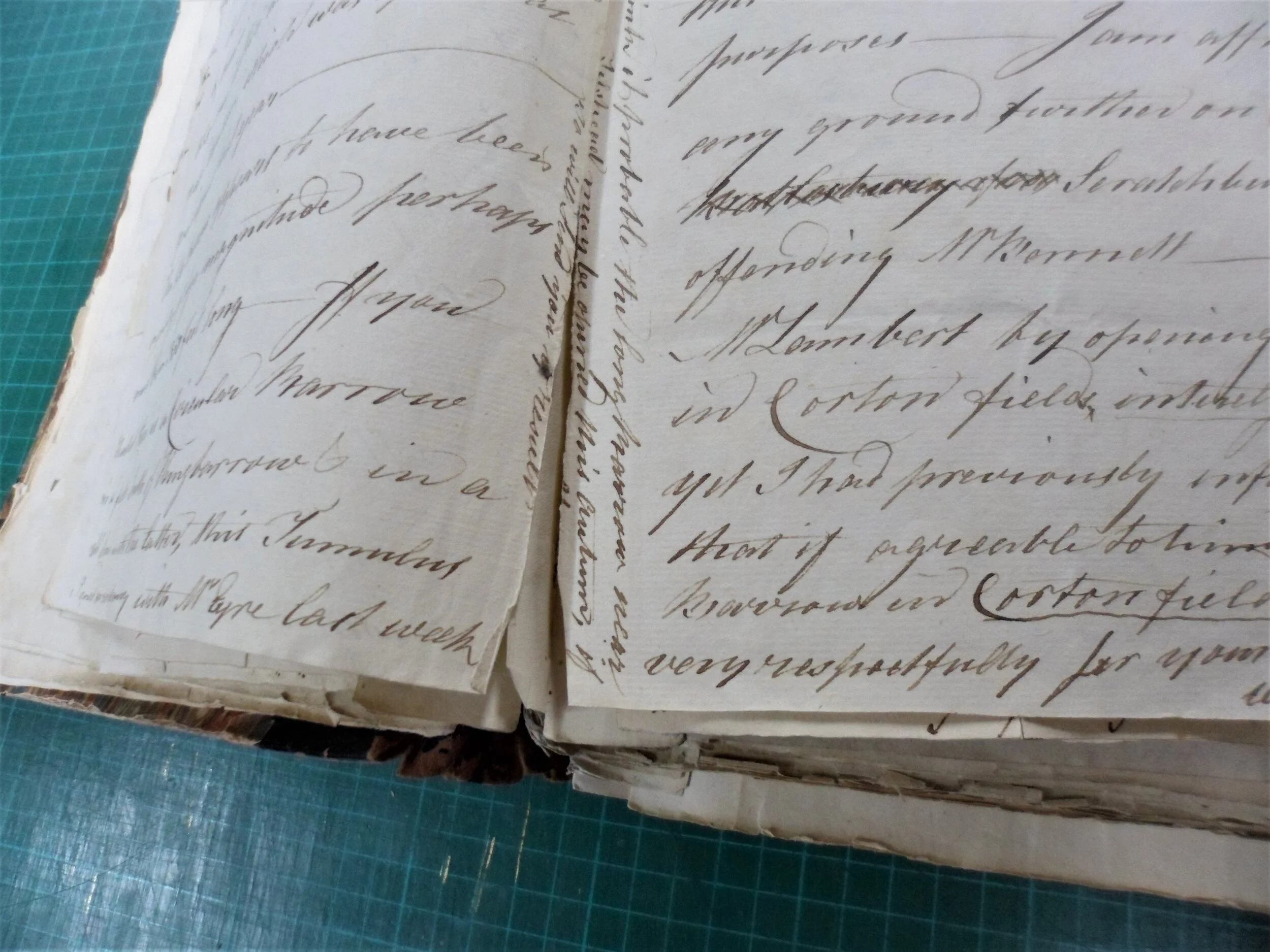 paper conservation — R&L LANCEFIELD