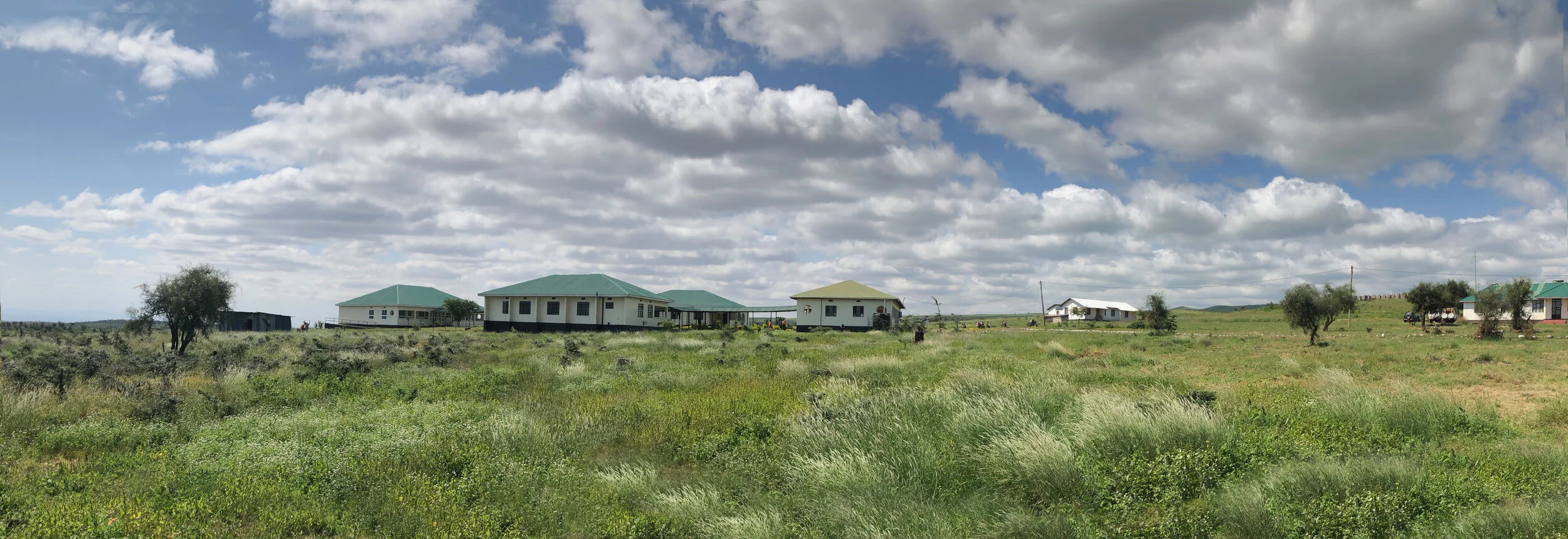 Our Story — Olmoti Clinic
