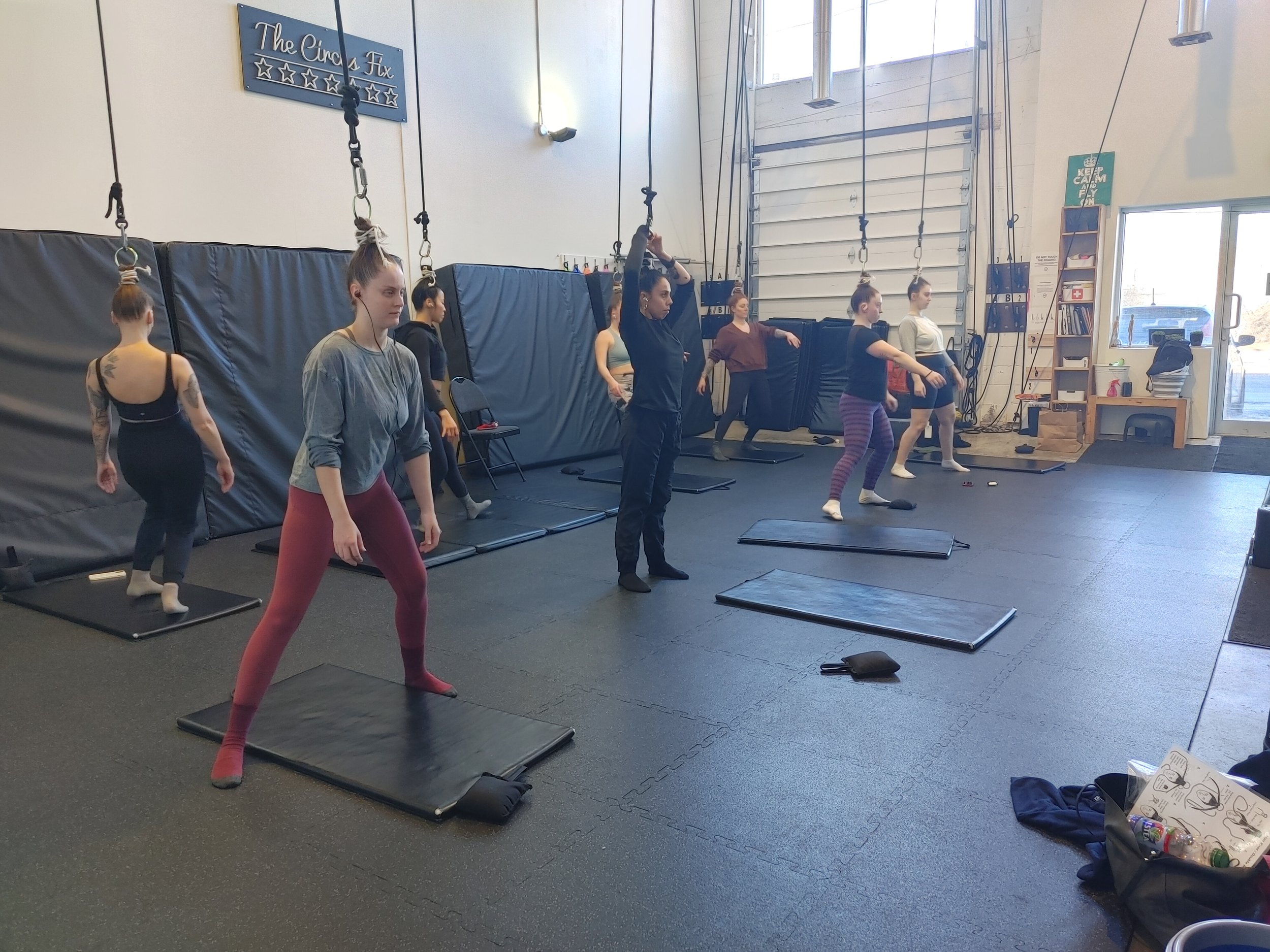 Hair Hang — Trellis Arts