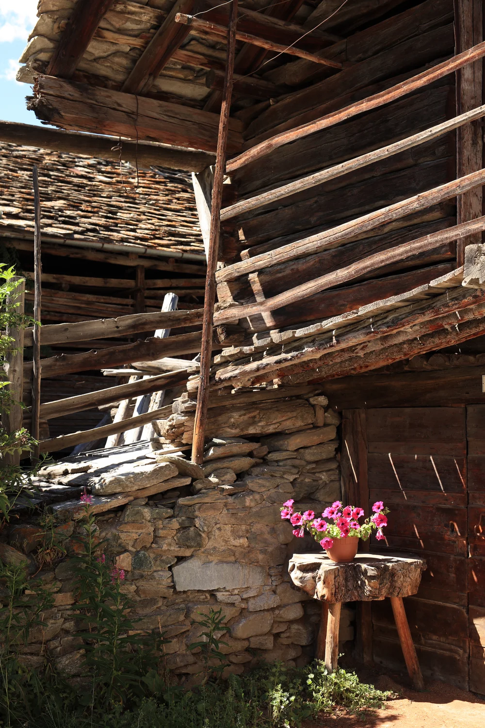 Cogne — Lodestars Anthology