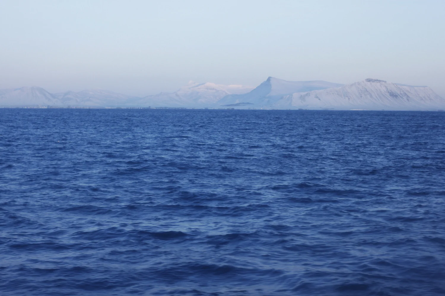 Marine Collagen from Iceland