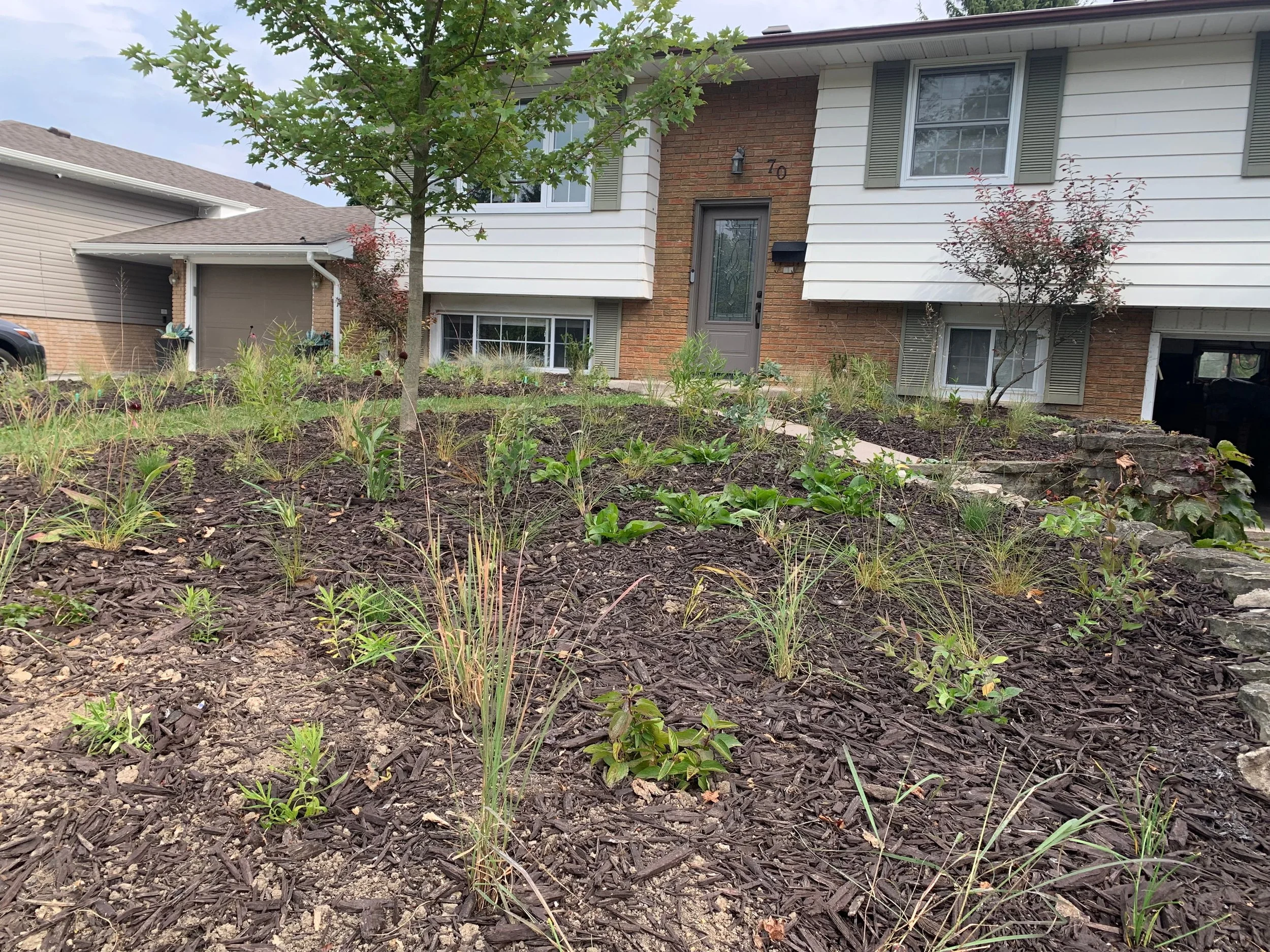 Formal Front Yard Native Garden Design | Ecological Landscape Case ...