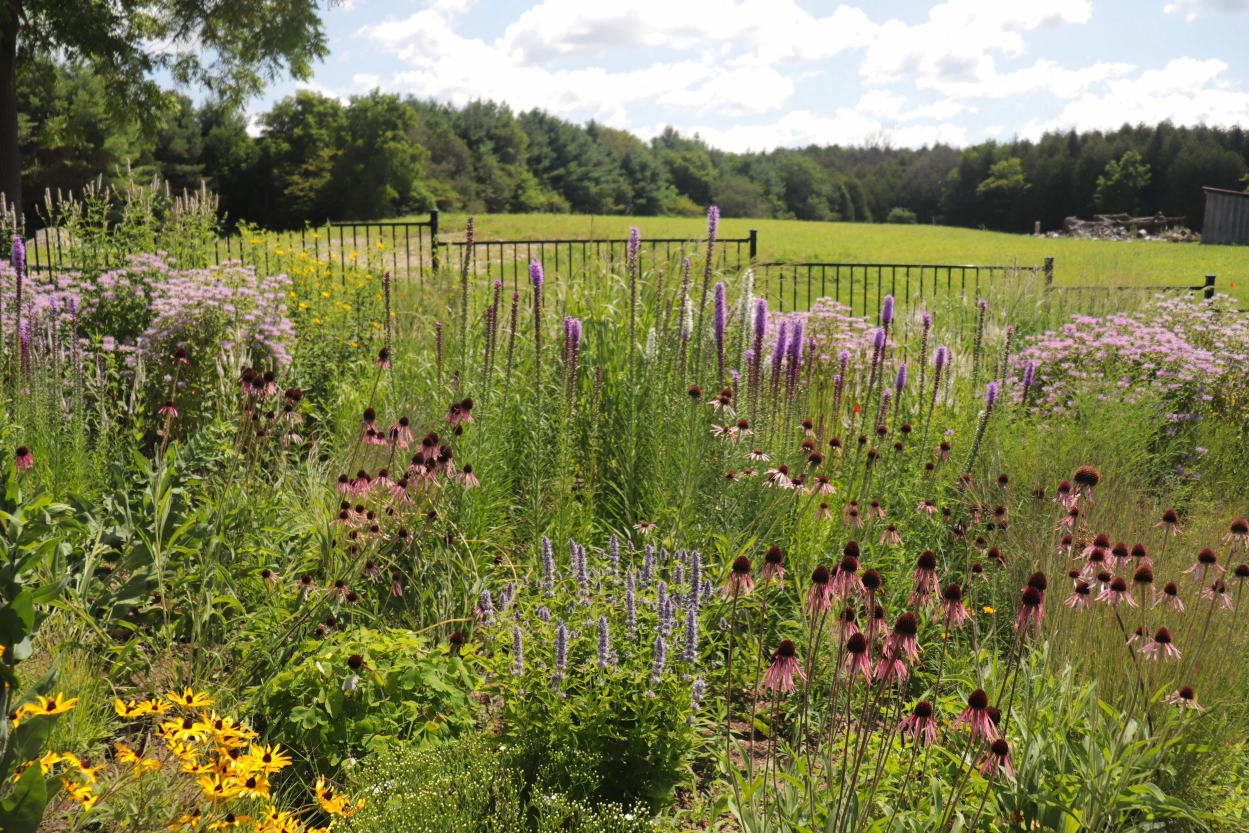 Formal Garden Design With Native Plants — In Our Nature