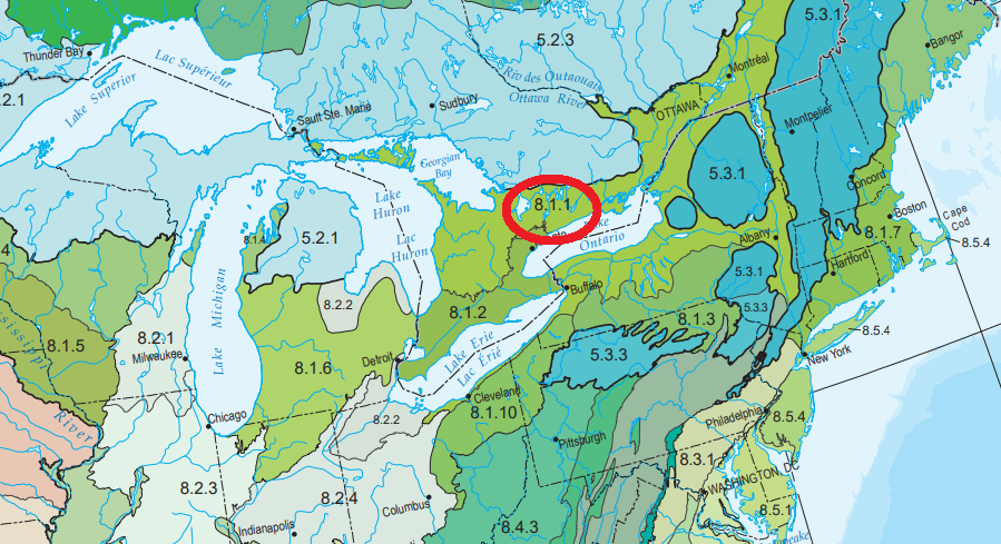 Stop Using Hardiness Zones for Native Plants — In Our Nature
