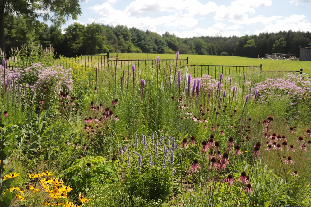 Matrix Garden Design — In Our Nature