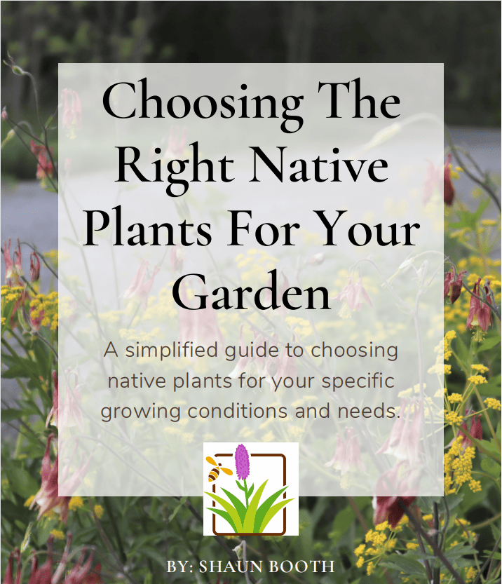 Ontario Native Plants: Guides, Growing Tips & 50+ Plant Lists — In Our ...