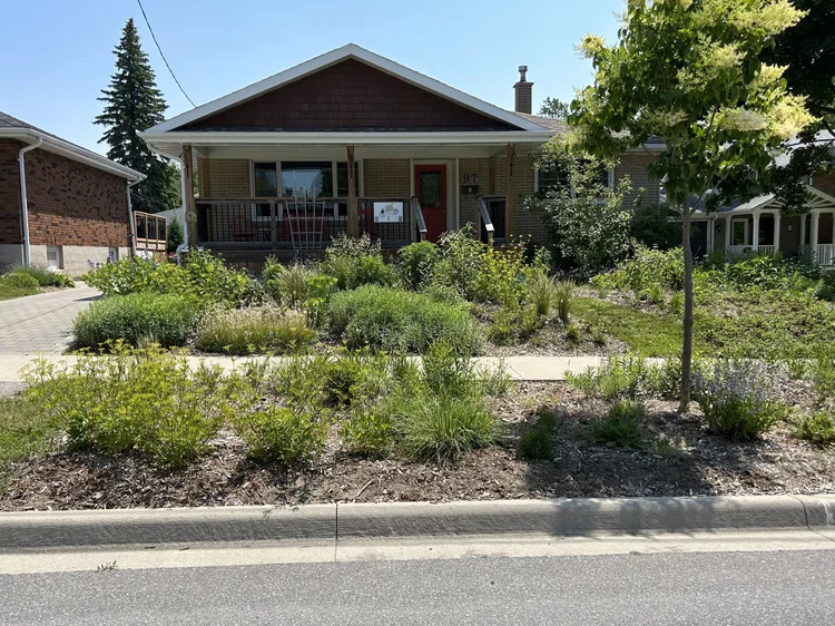 Stunning Boulevard Gardens: Native & Salt-Tolerant Plants for Your ...