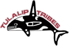 Tulalip Tribes of Washington Community Needs Assessment. Tribal-based ...