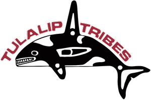 Tulalip Tribes of Washington Community Needs Assessment. Tribal-based ...