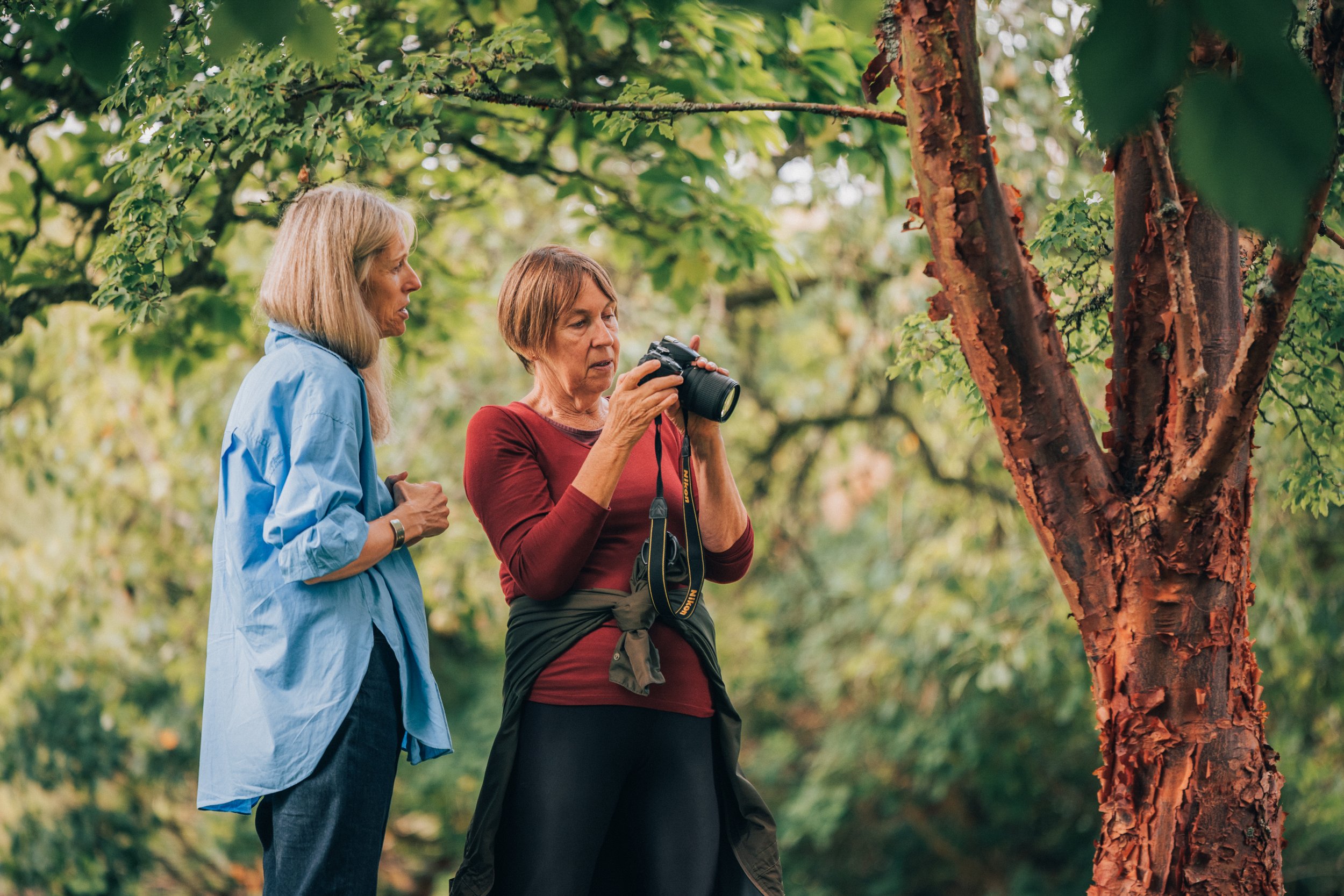 Wellbeing Photography Workshops — Marsha Arnold