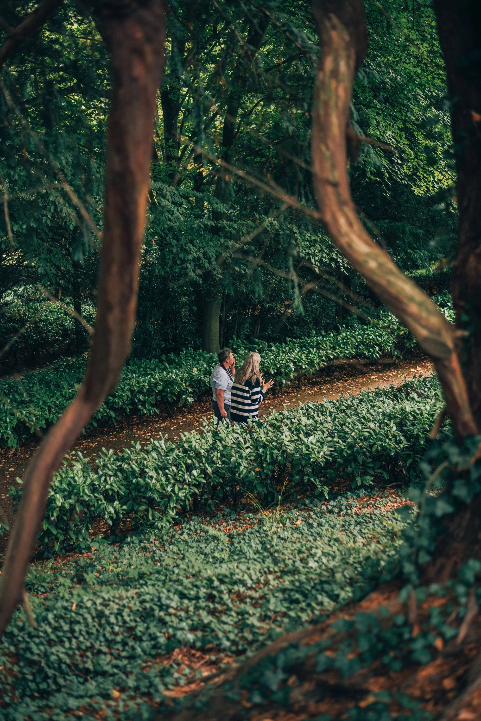 Wellbeing Photography Workshops — Marsha Arnold