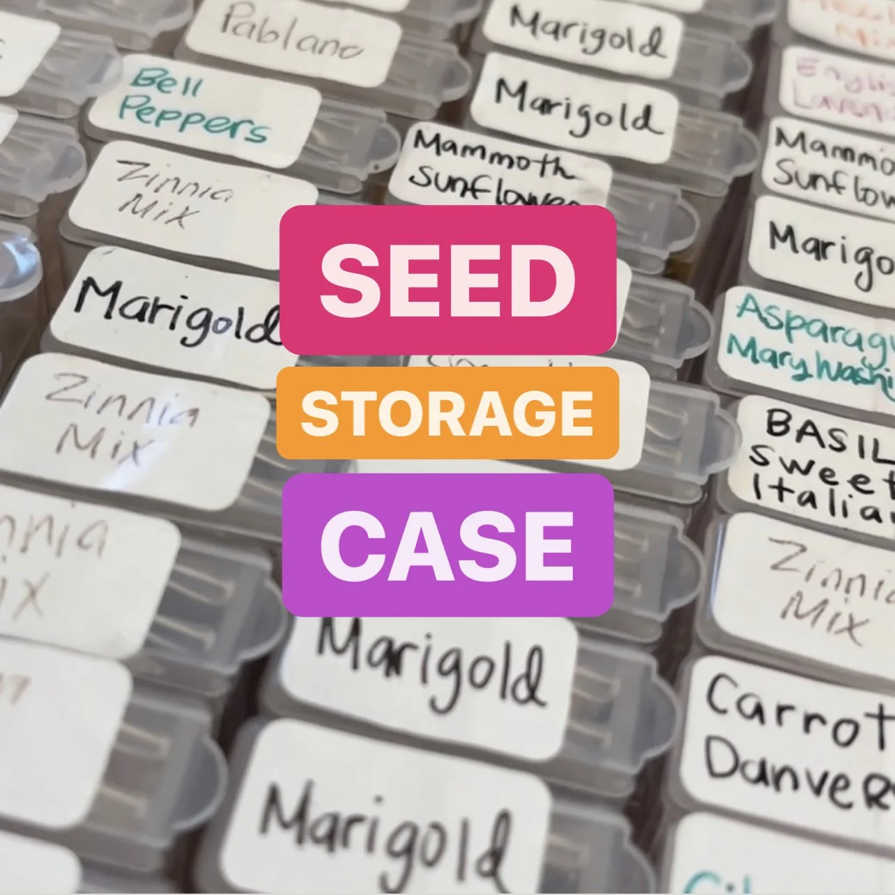 SHOP MY INSTAGRAM — OK, I'll Give You My Opinion!