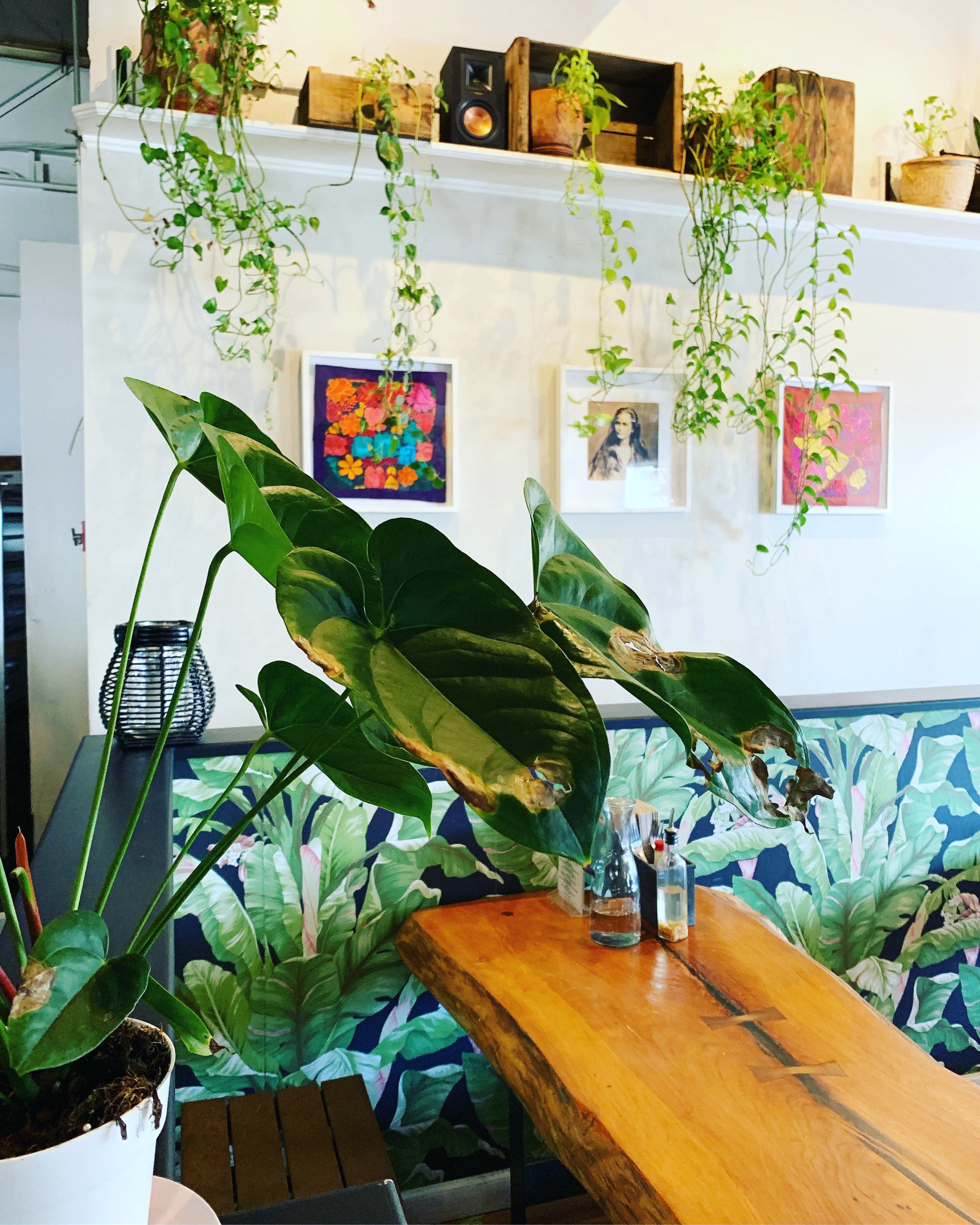 Mother’s Day Brunch At Mestiza Taqueria SF — OK, I'll Give You My Opinion!